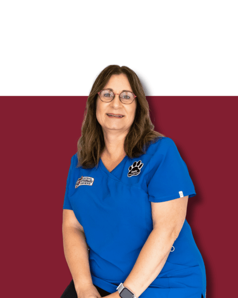 Oak Bluff, MB R0G 1N0 Veterinarians - Central Veterinary Services