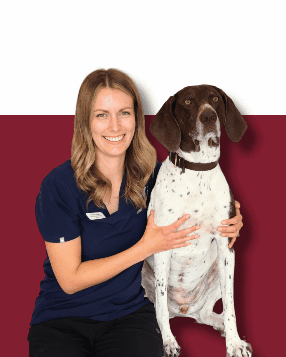 Oak Bluff, MB R0G 1N0 Veterinarians - Central Veterinary Services