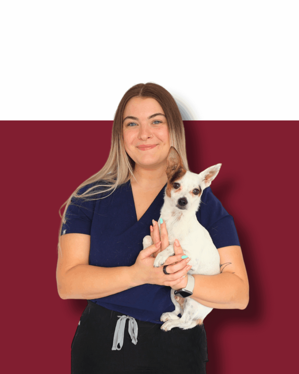 Oak Bluff, MB R0G 1N0 Veterinarians - Central Veterinary Services