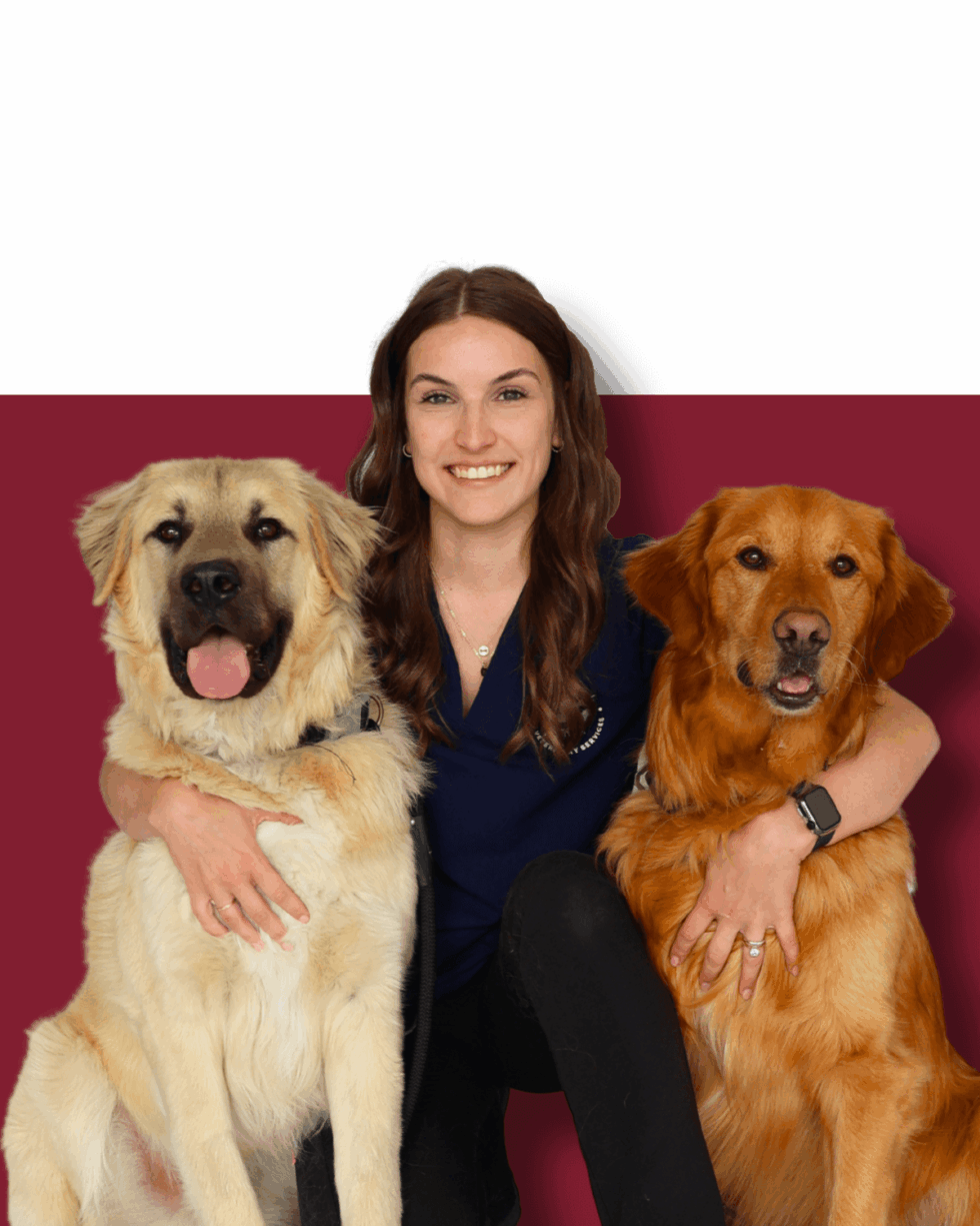 Oak Bluff, MB R0G 1N0 Veterinarians - Central Veterinary Services